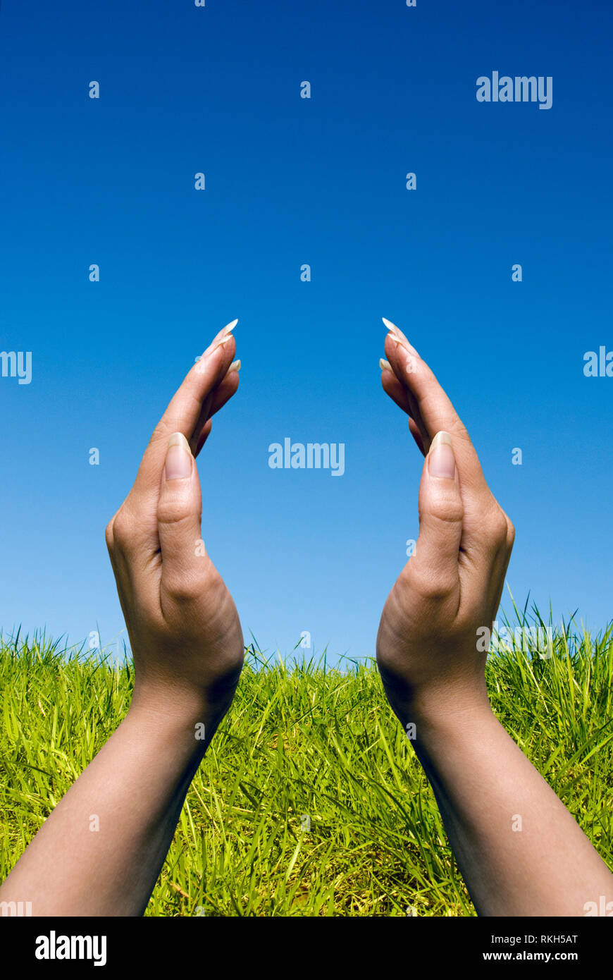 female hands in a gesture of protection, concept for nature ...