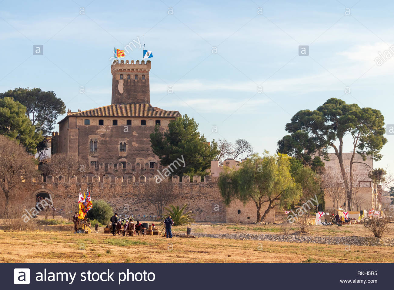 The Battle Of Pavia Stock Photos & The Battle Of Pavia Stock Images - Alamy