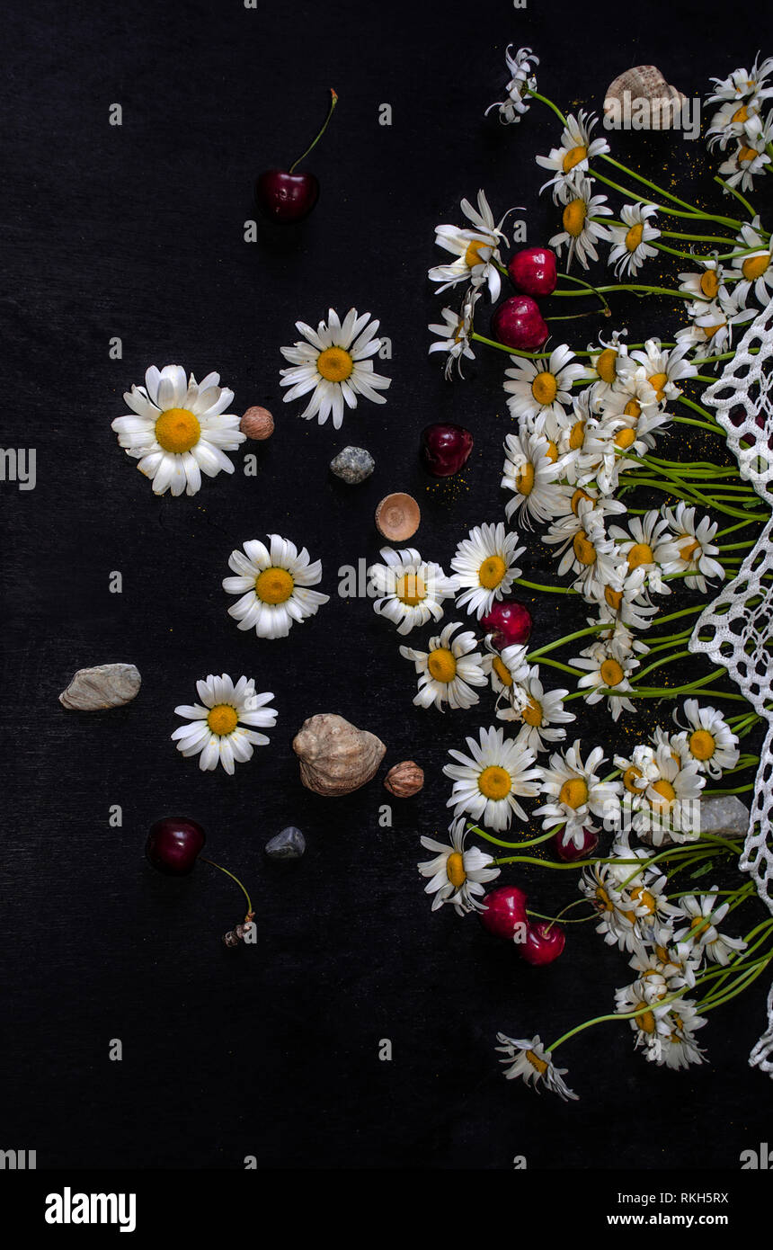 Black seashells vertical hi-res stock photography and images - Alamy