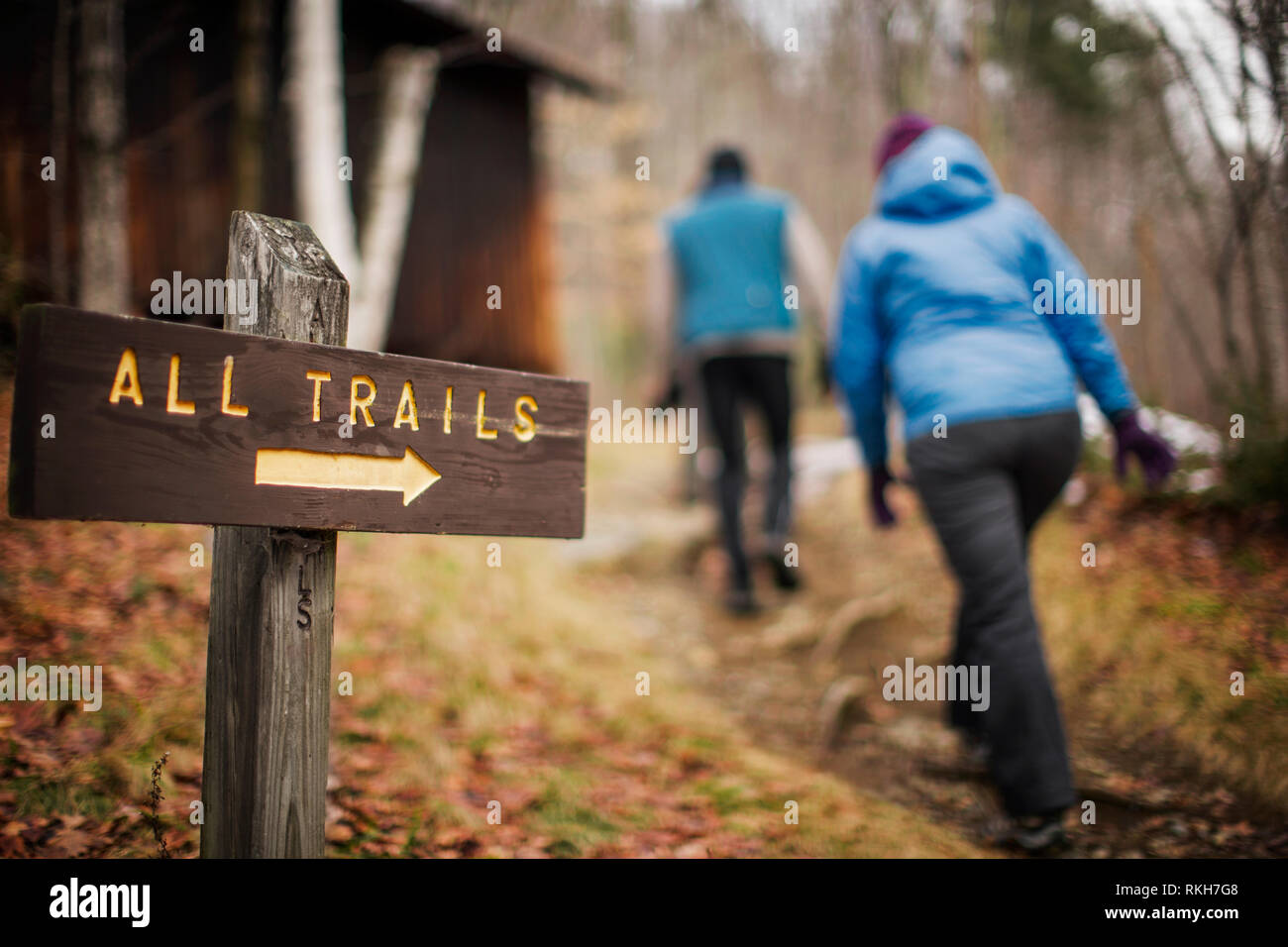 Two people hiking on a forest path Stock Photo - Alamy