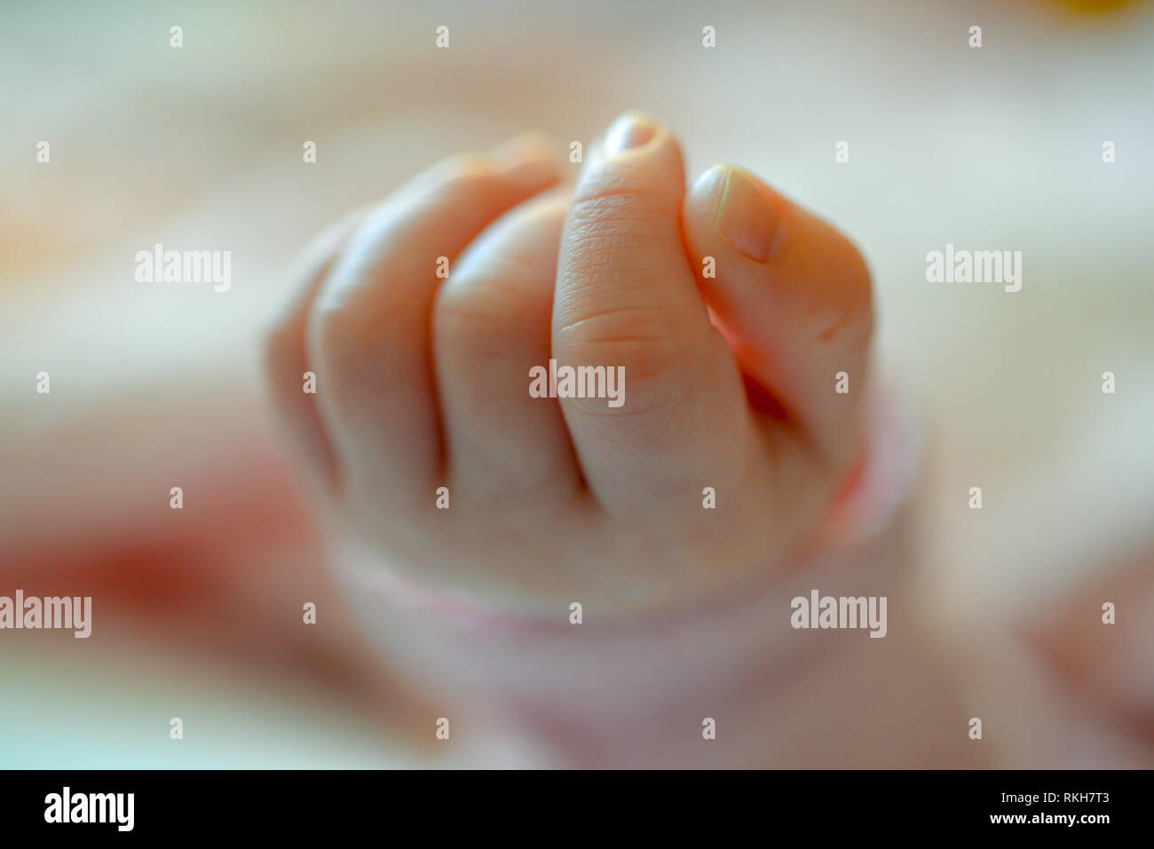 Slightly Curled Hand