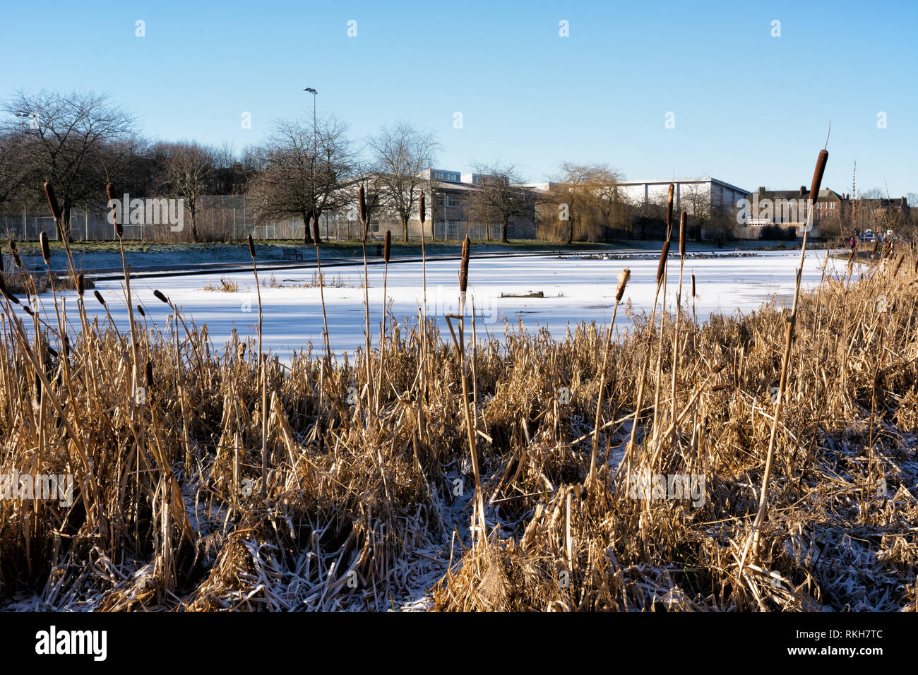 Reeds in foreground winter hi-res stock photography and images - Alamy