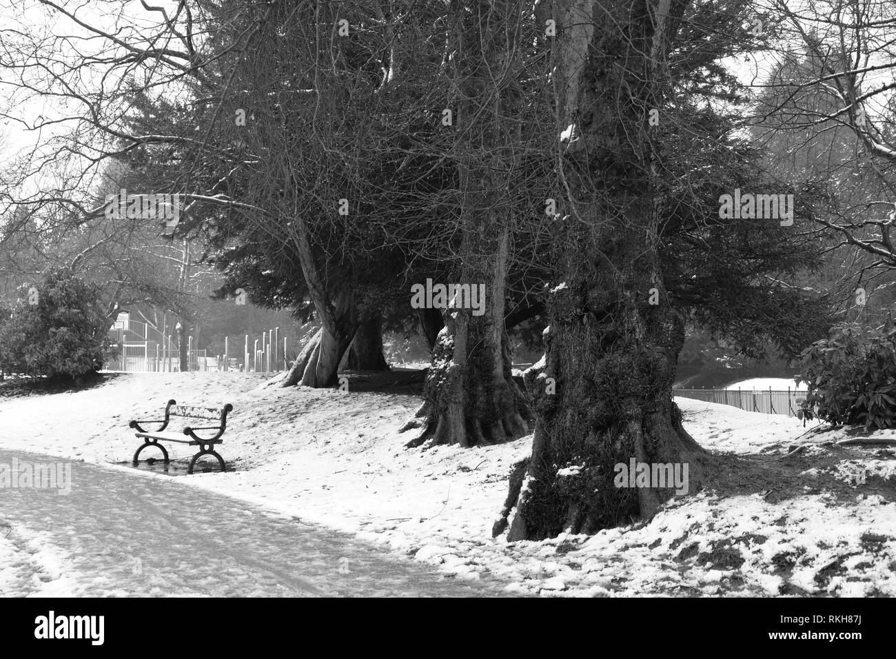 Gardens in buxton hi-res stock photography and images - Alamy