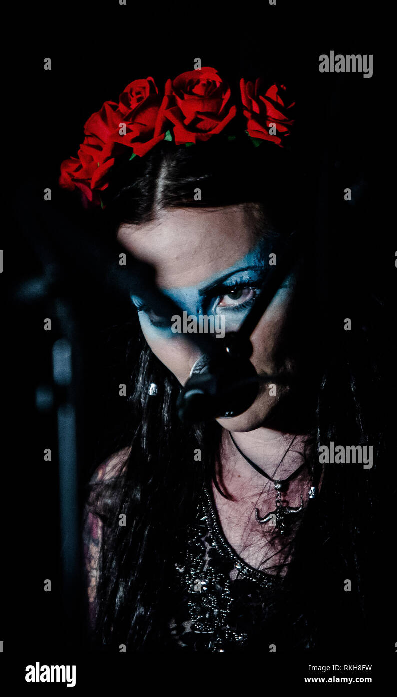 The great malarkey band hi-res stock photography and images - Alamy