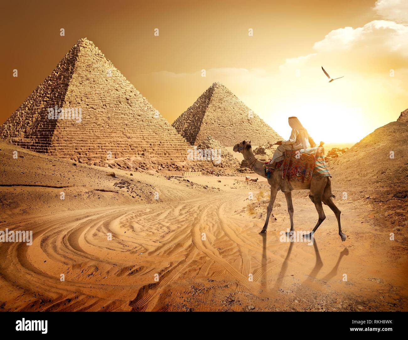 Camel desert sky pyramid hi-res stock photography and images - Alamy