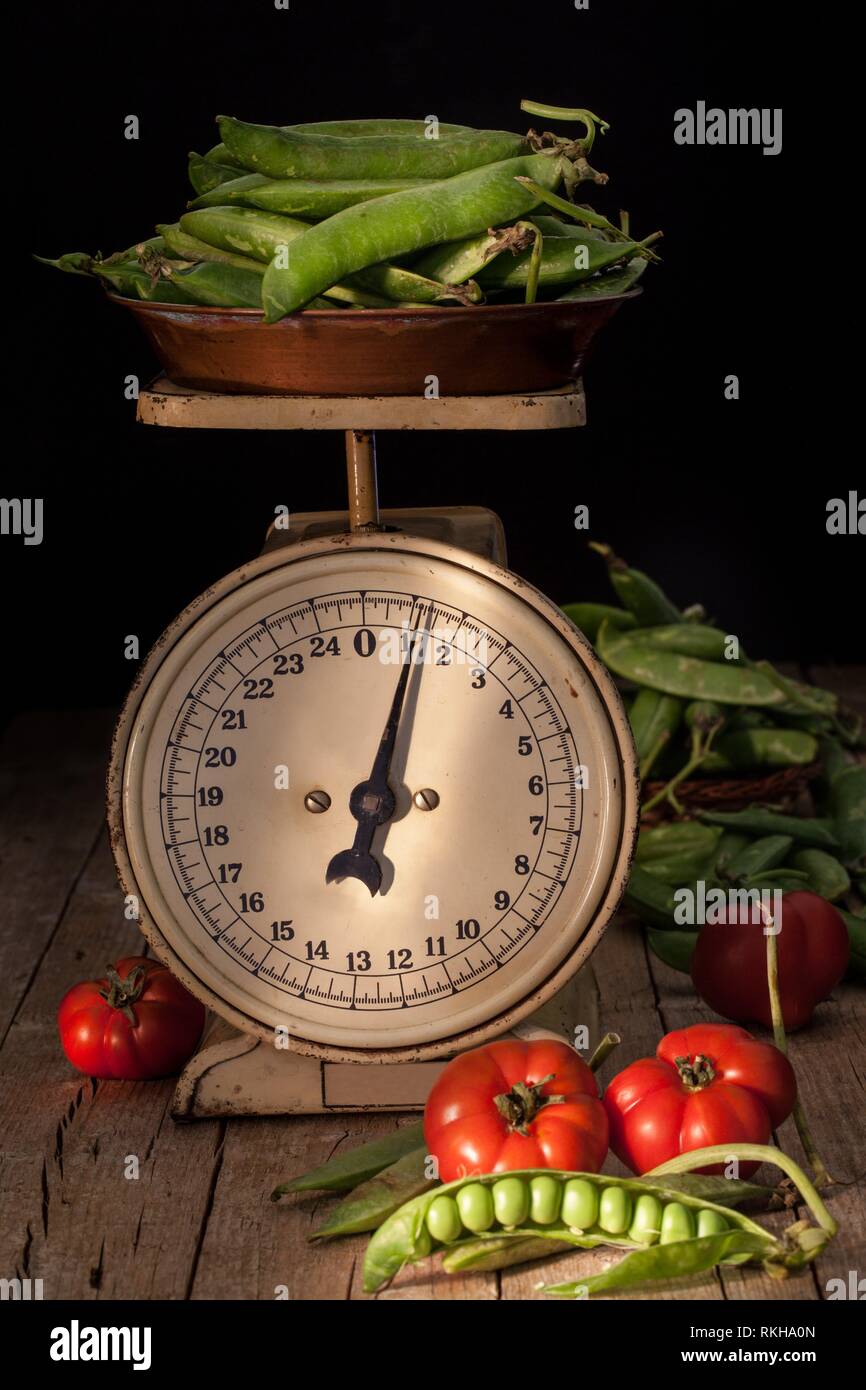 Green scale hi-res stock photography and images - Alamy