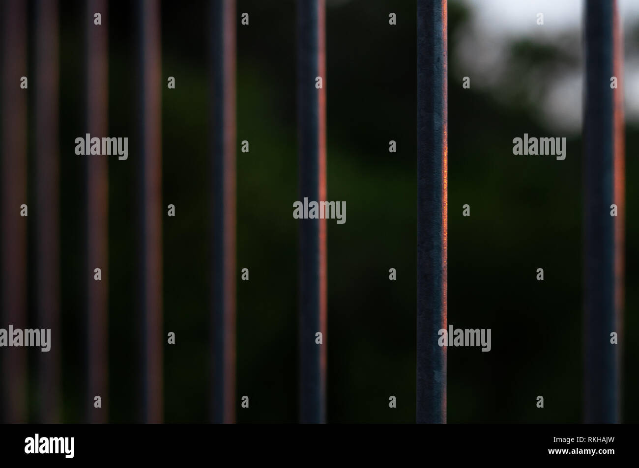 Sunlight falling on the railings on the patio Stock Photo - Alamy