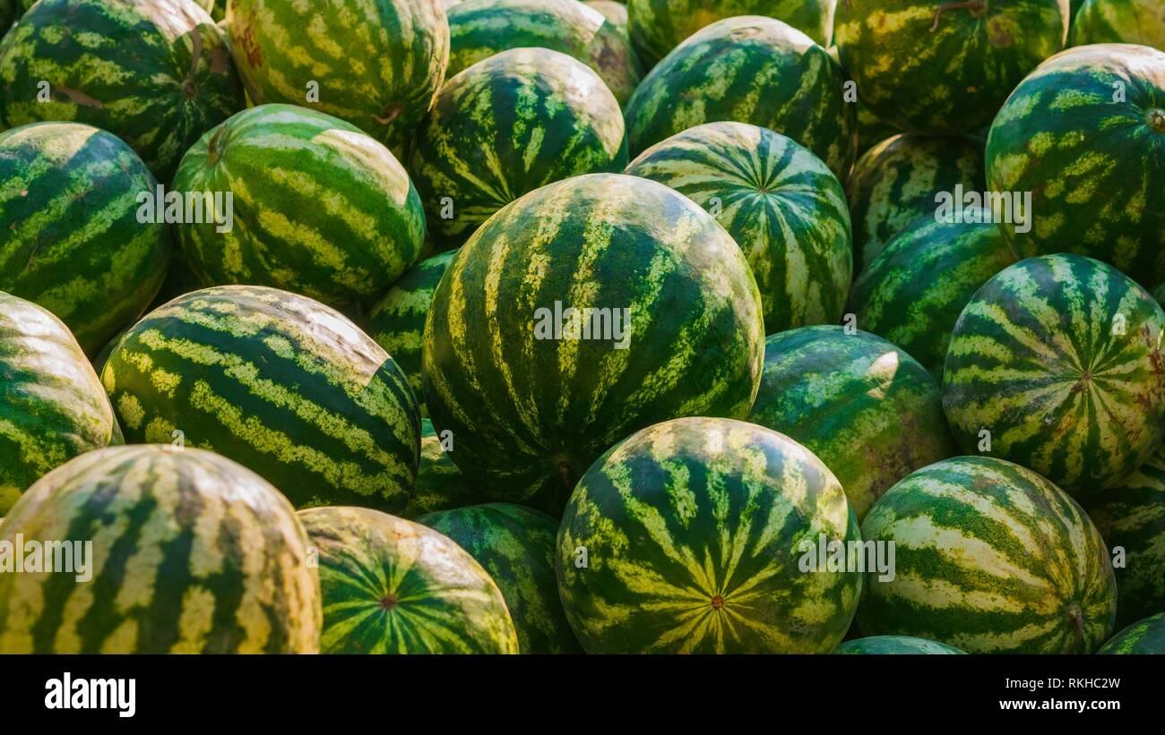 Watermelons on pile for sale hi-res stock photography and images - Alamy