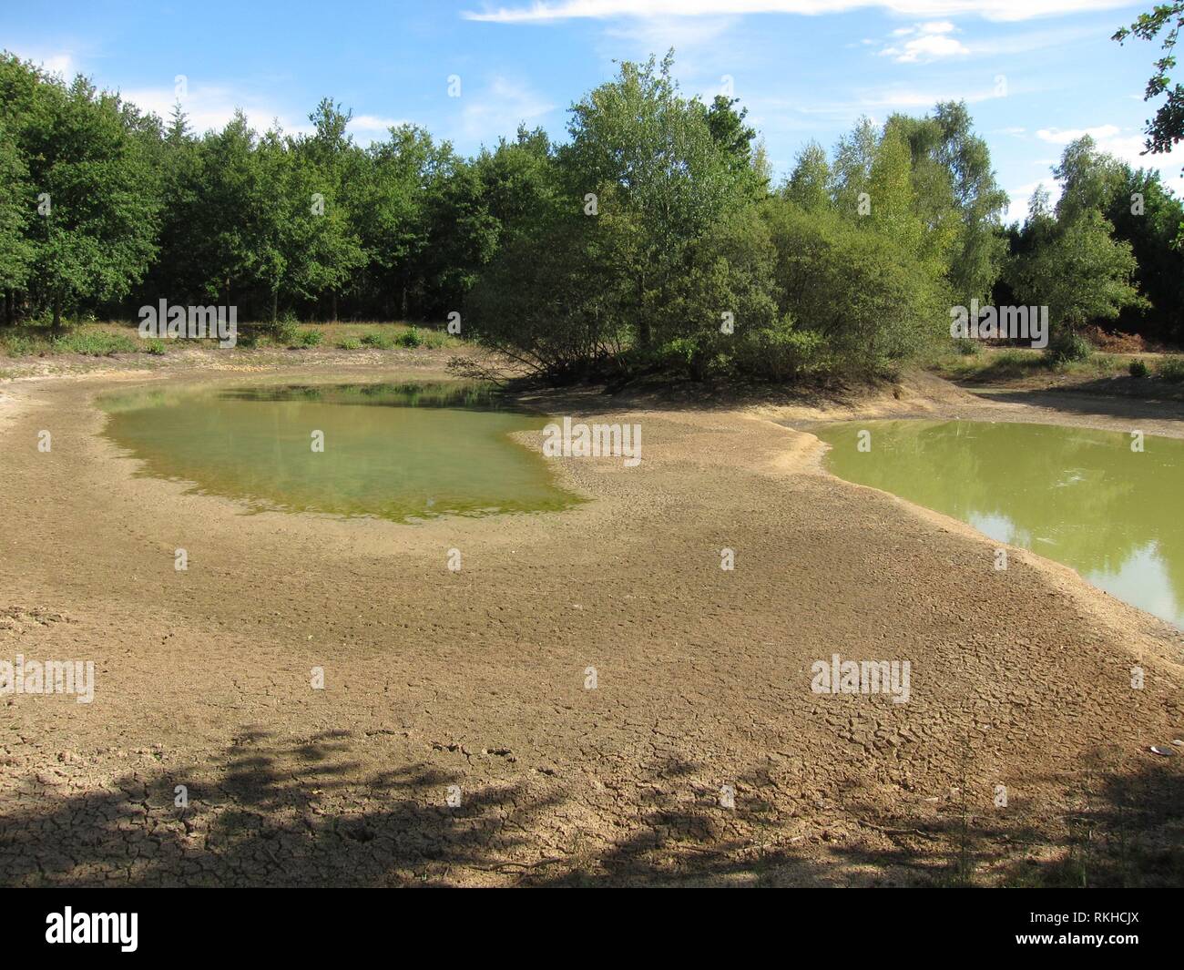 Crackled soil hi-res stock photography and images - Alamy