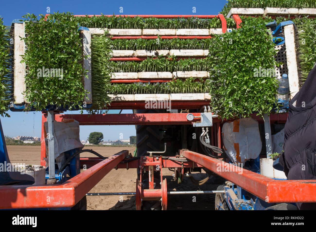 Tomato transplanter machine hi-res stock photography and images - Alamy
