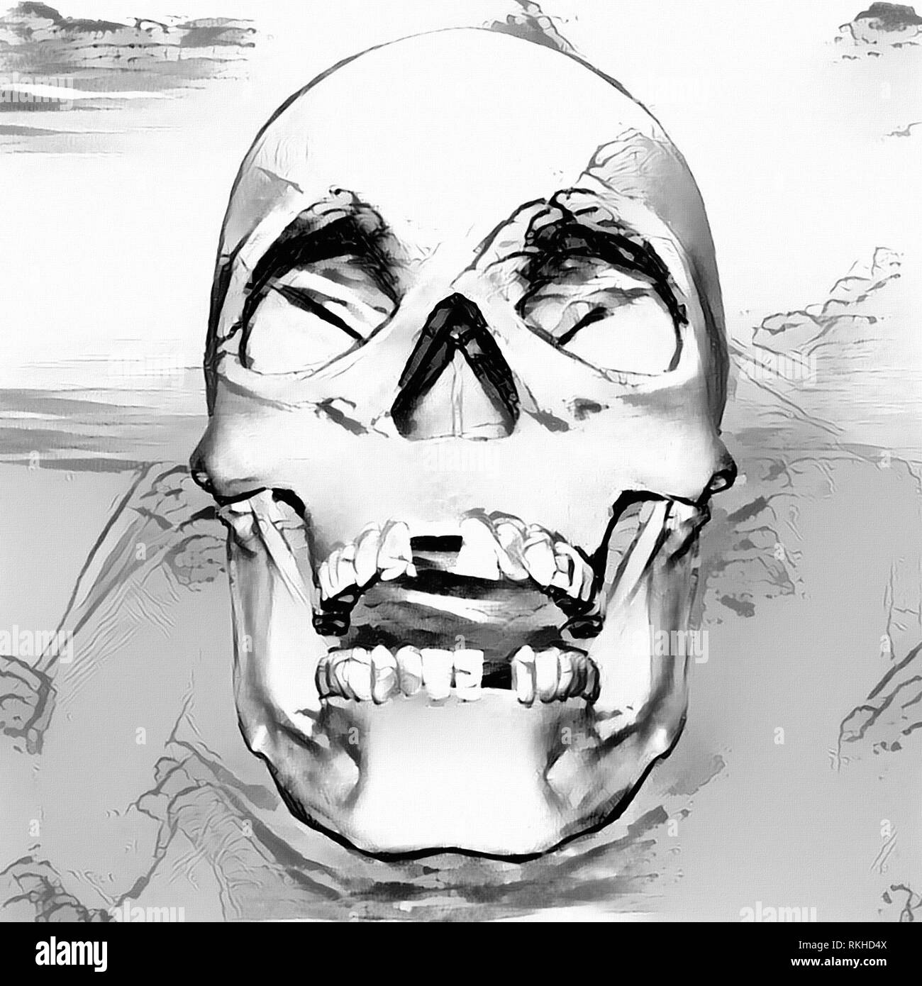 Human skull in black and white Stock Photo - Alamy