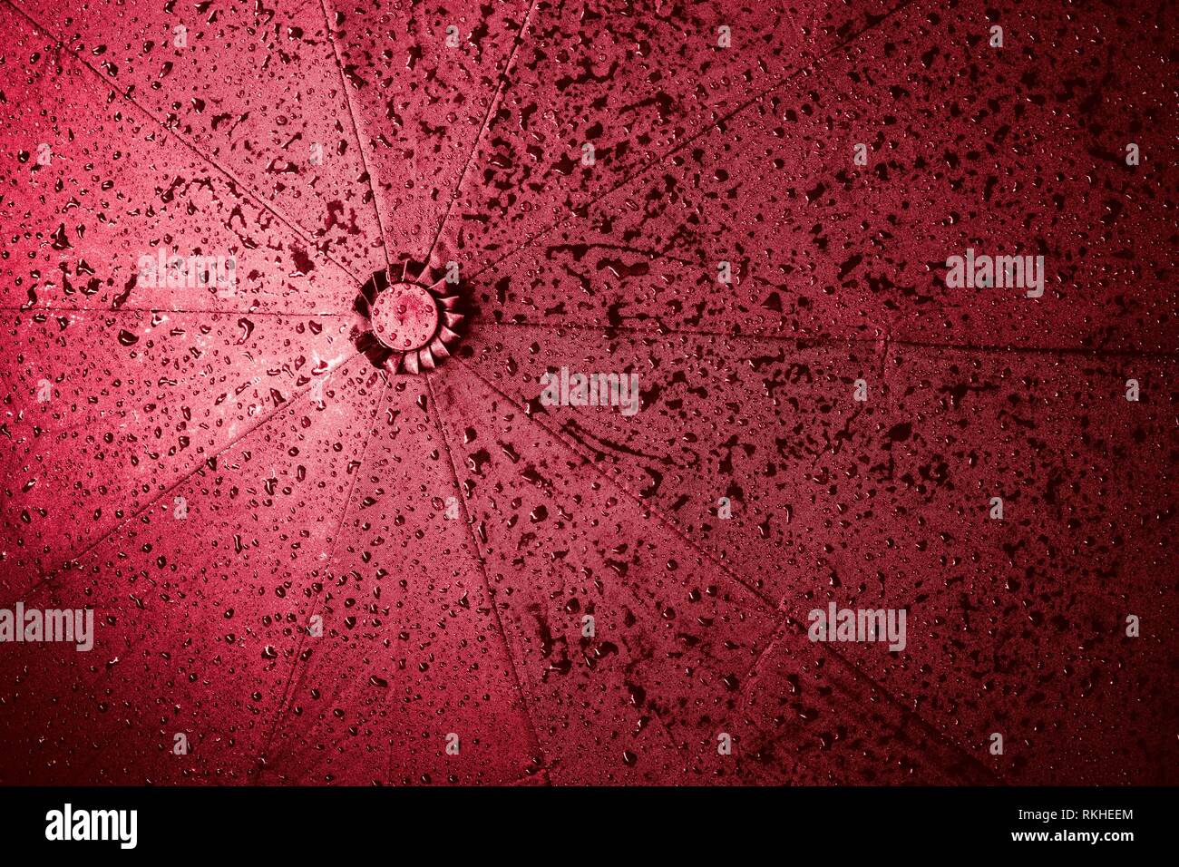 Red rainwater hi-res stock photography and images - Alamy
