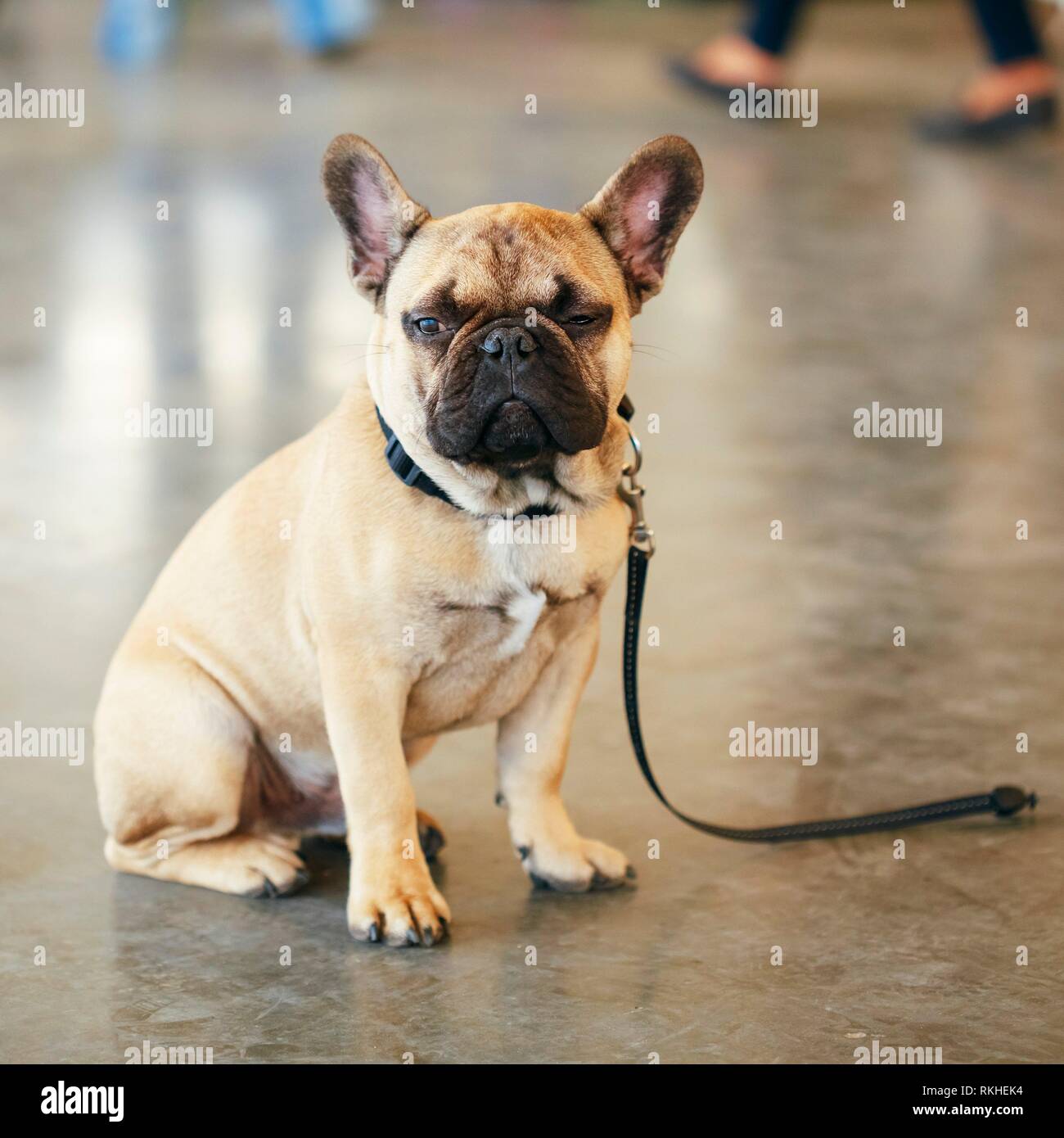 Lost sad sadness hi-res stock photography and images - Alamy