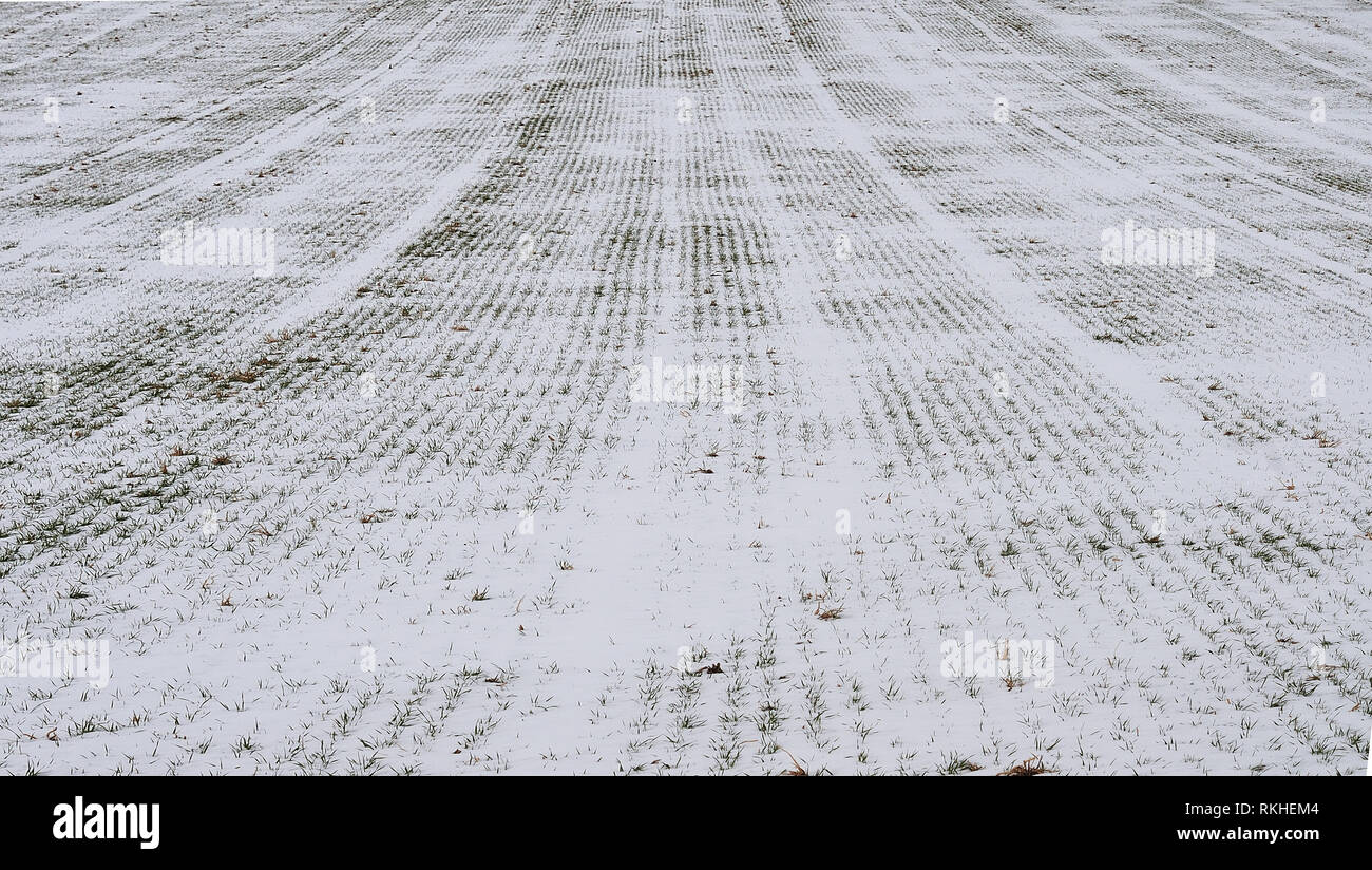 Thin snow layer hi-res stock photography and images - Alamy