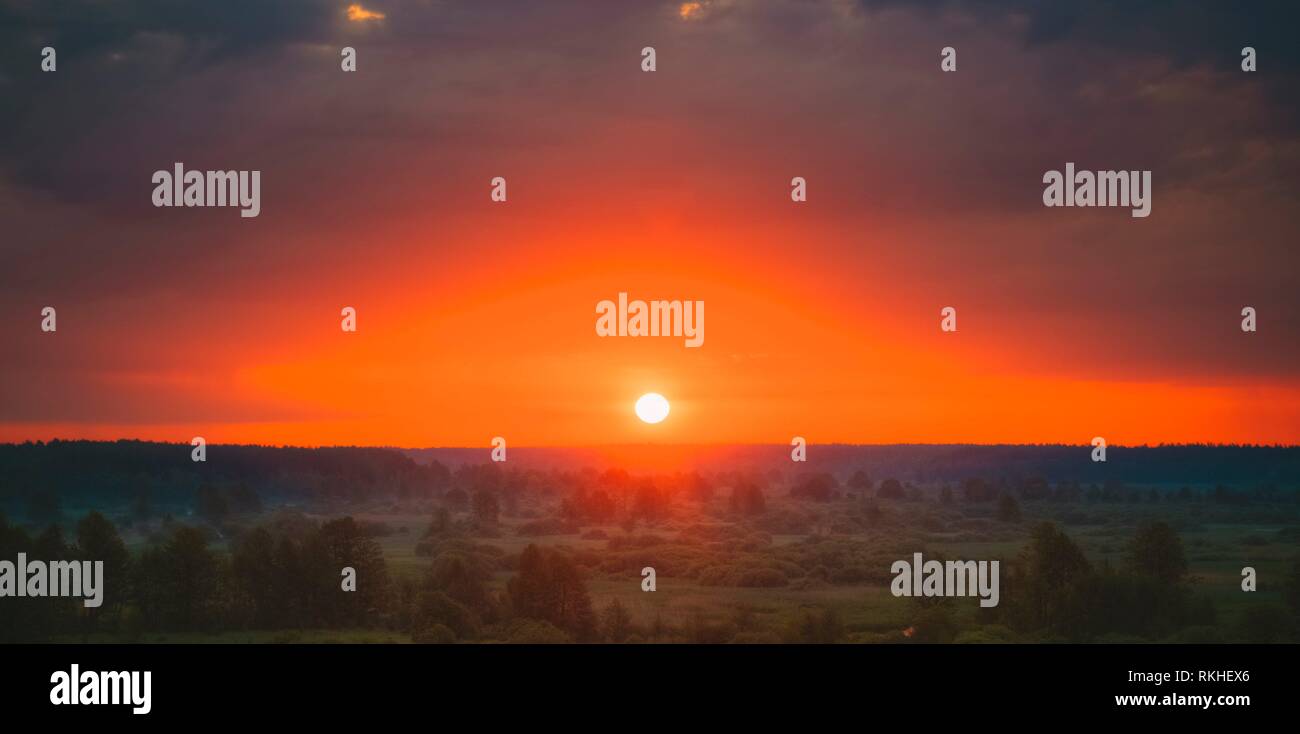 Spring forest sunrise forest rising sun morning forest hi-res stock ...