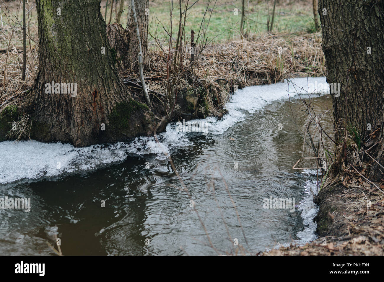 small stream with rest of snow and ice cover at the beginning of spring ...