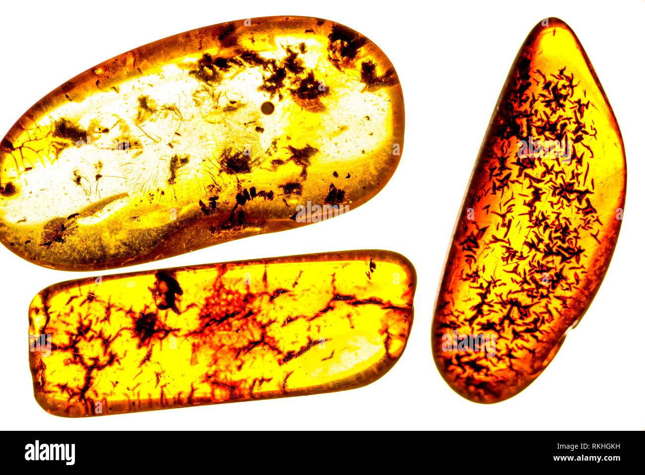 Amber Inclusion High Resolution Stock Photography and Images - Alamy