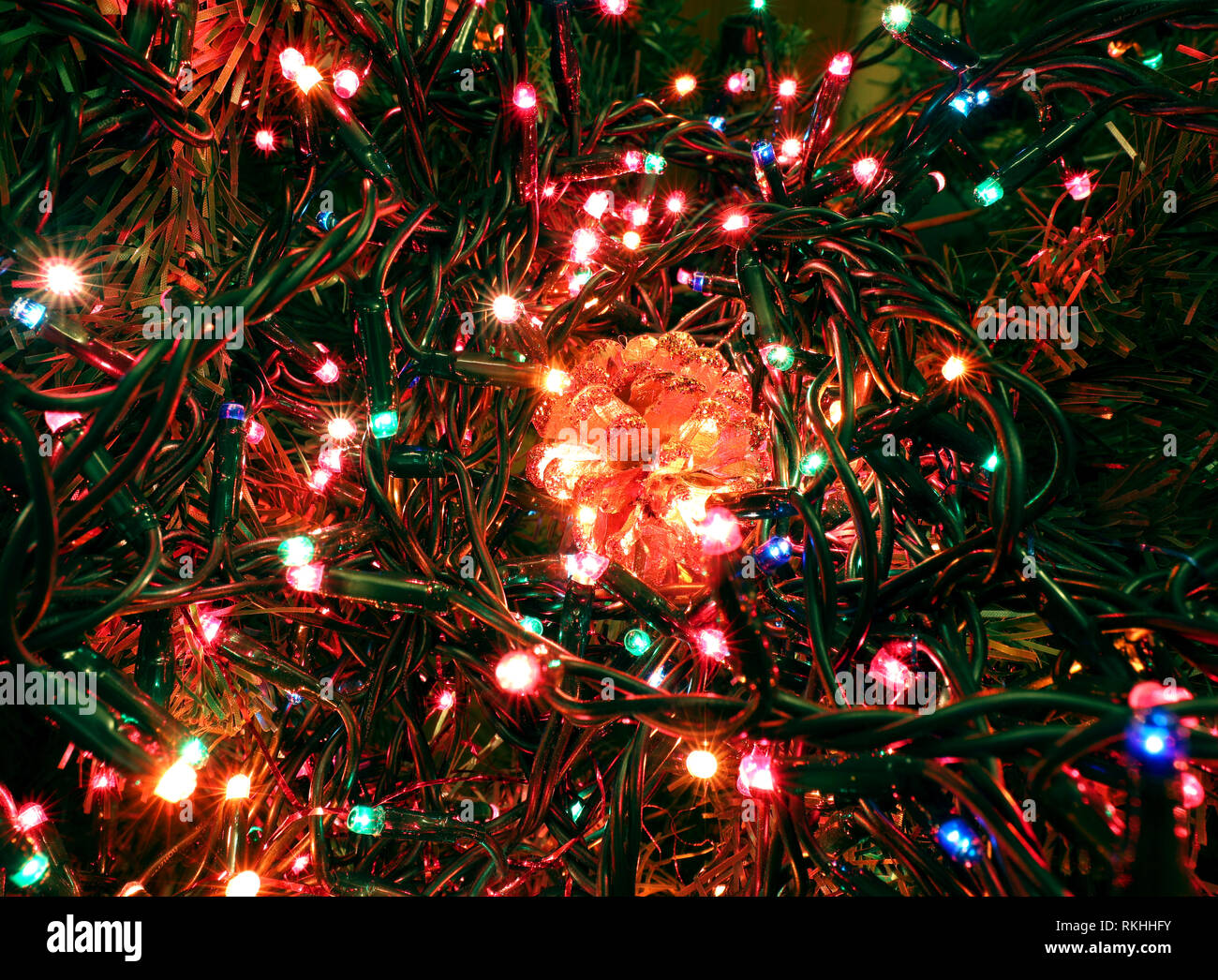 shimmering lights to decorate and a golden pinecone on the tree Stock ...