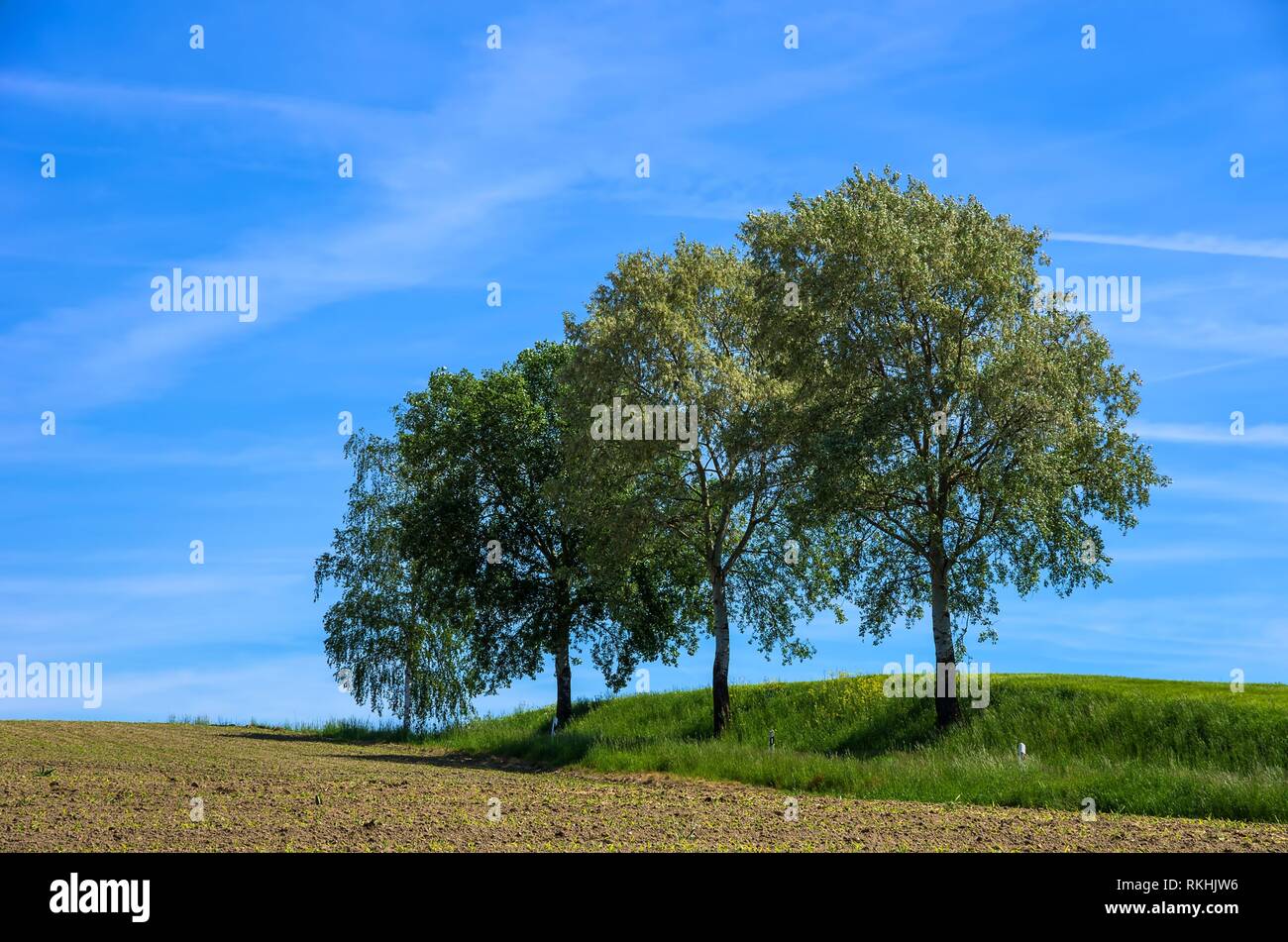 Rural landscape art hi-res stock photography and images - Alamy