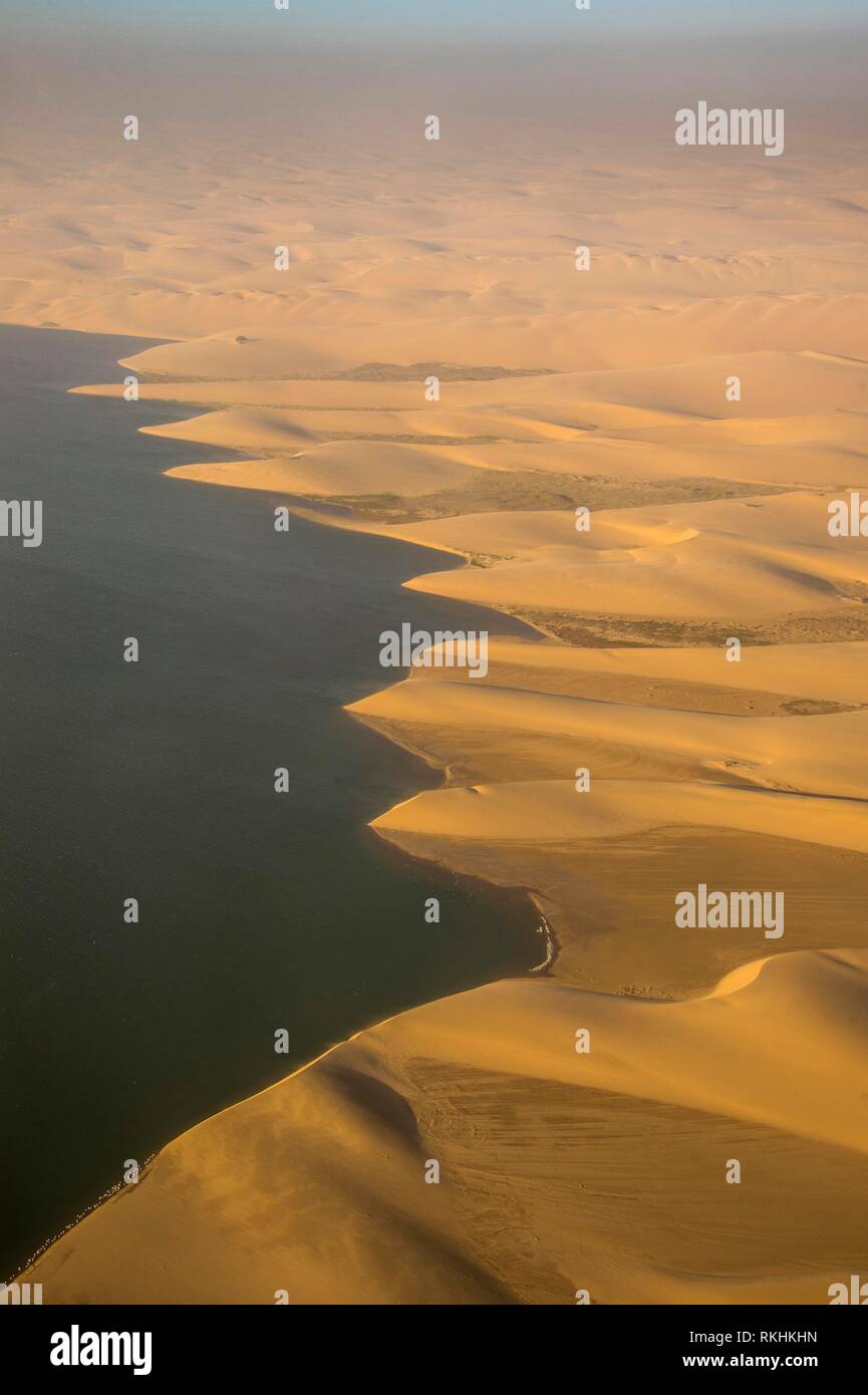 Aerial view of coastline with sandunes of the Namib desert floating in ...