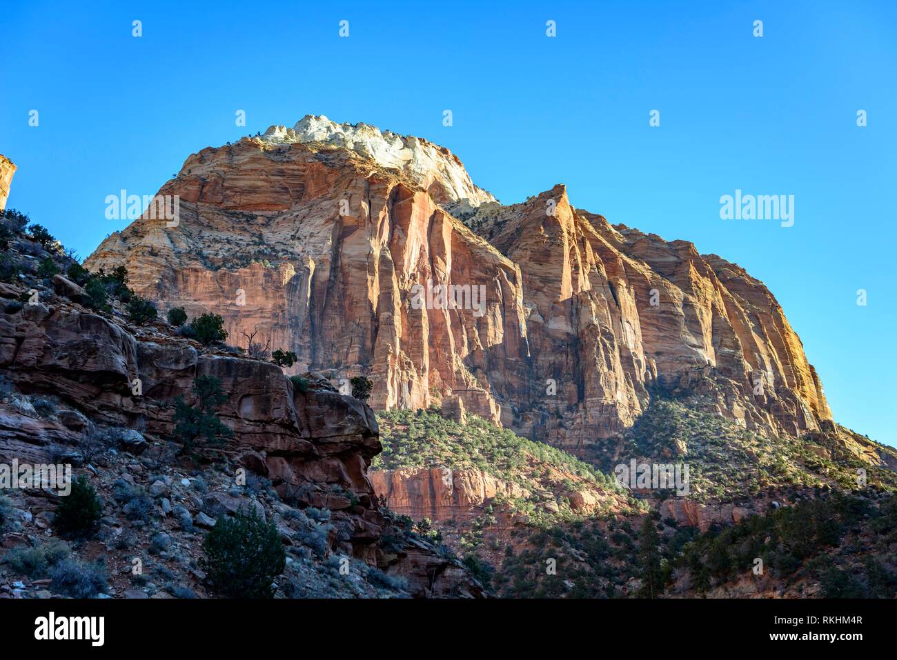 The East Temple, Zion National Park, Utah, USA Stock Photo - Alamy