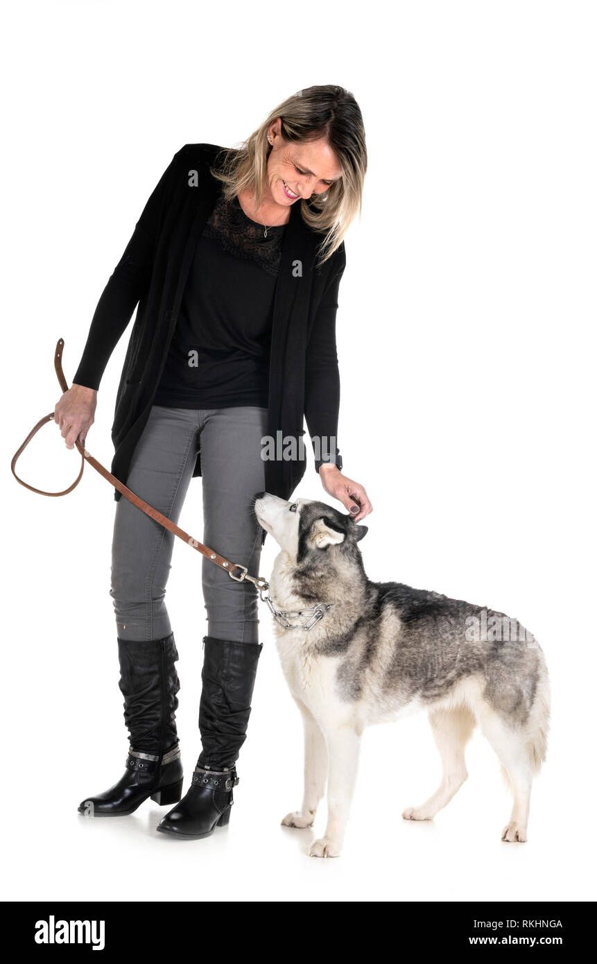 siberian husky and woman in front of white background Stock Photo - Alamy