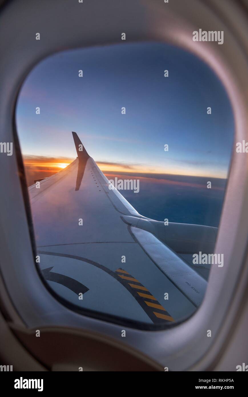 Vibrant wing hi-res stock photography and images - Alamy