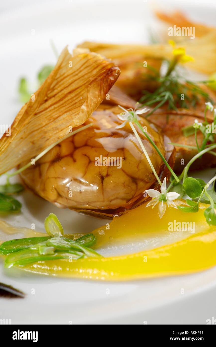 Lamb brain plate hi-res stock photography and images - Alamy