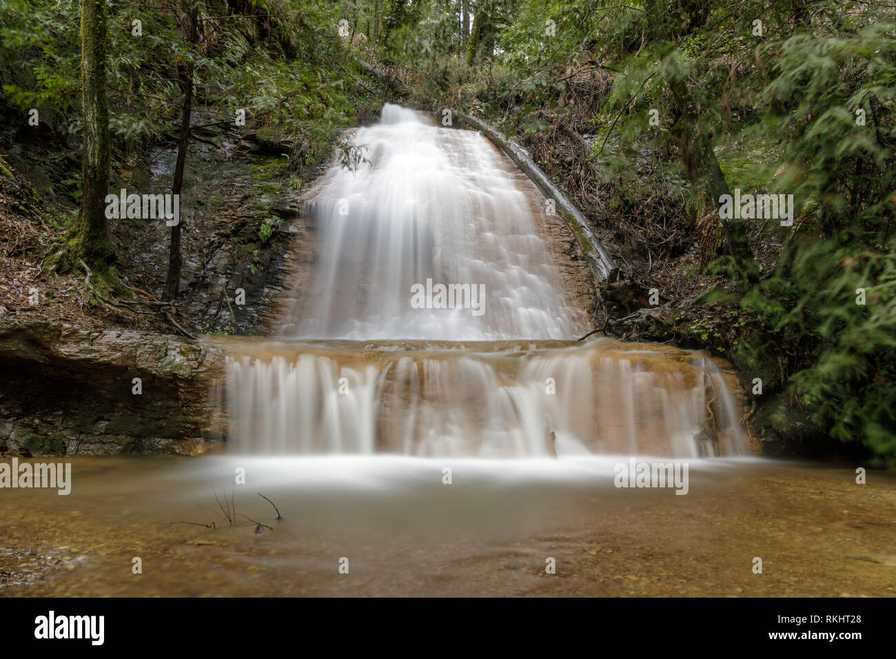 Golden Cascade in full flow after heavy rains Stock Photo - Alamy