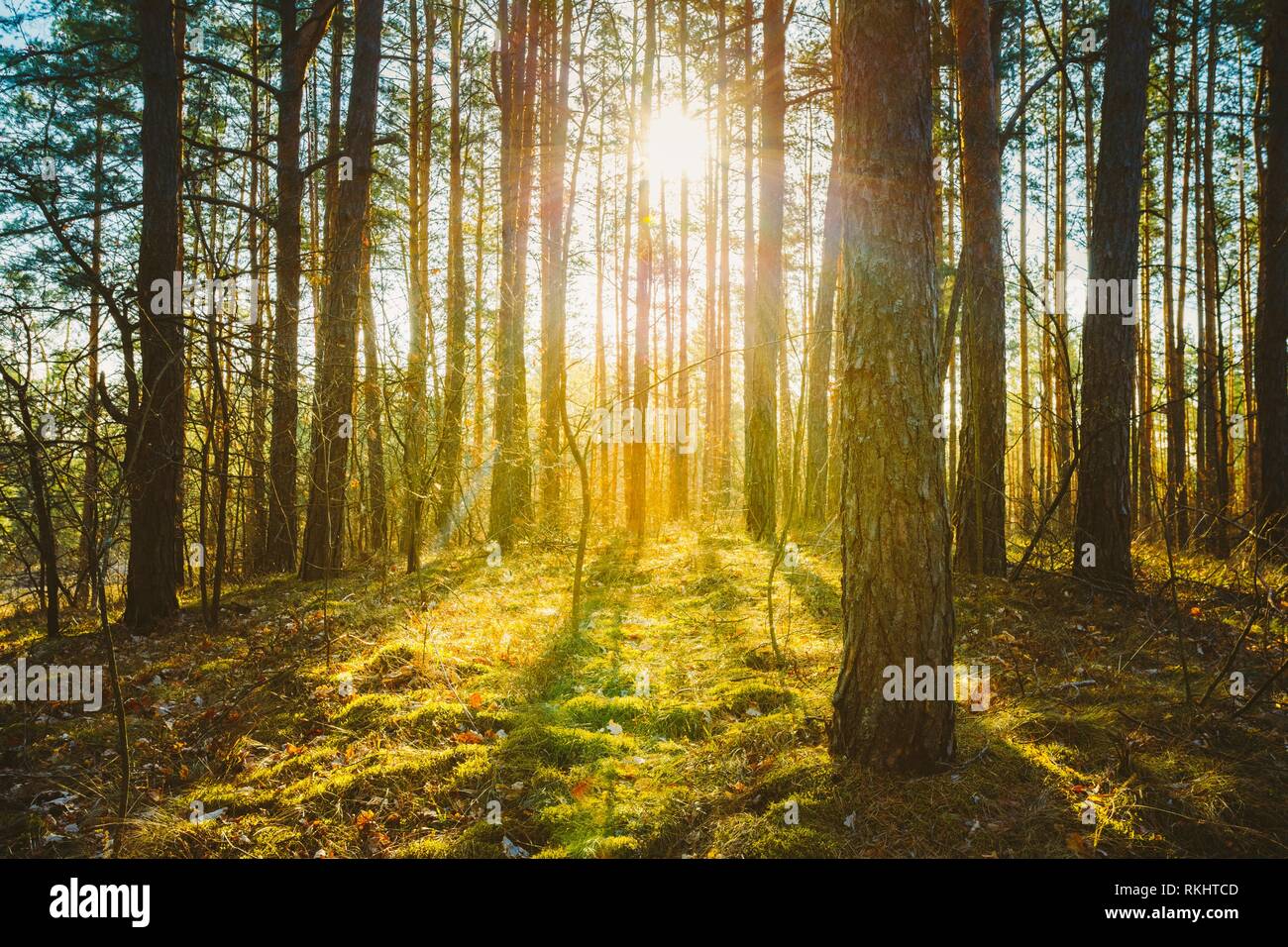Hdr sunrise hi-res stock photography and images - Alamy