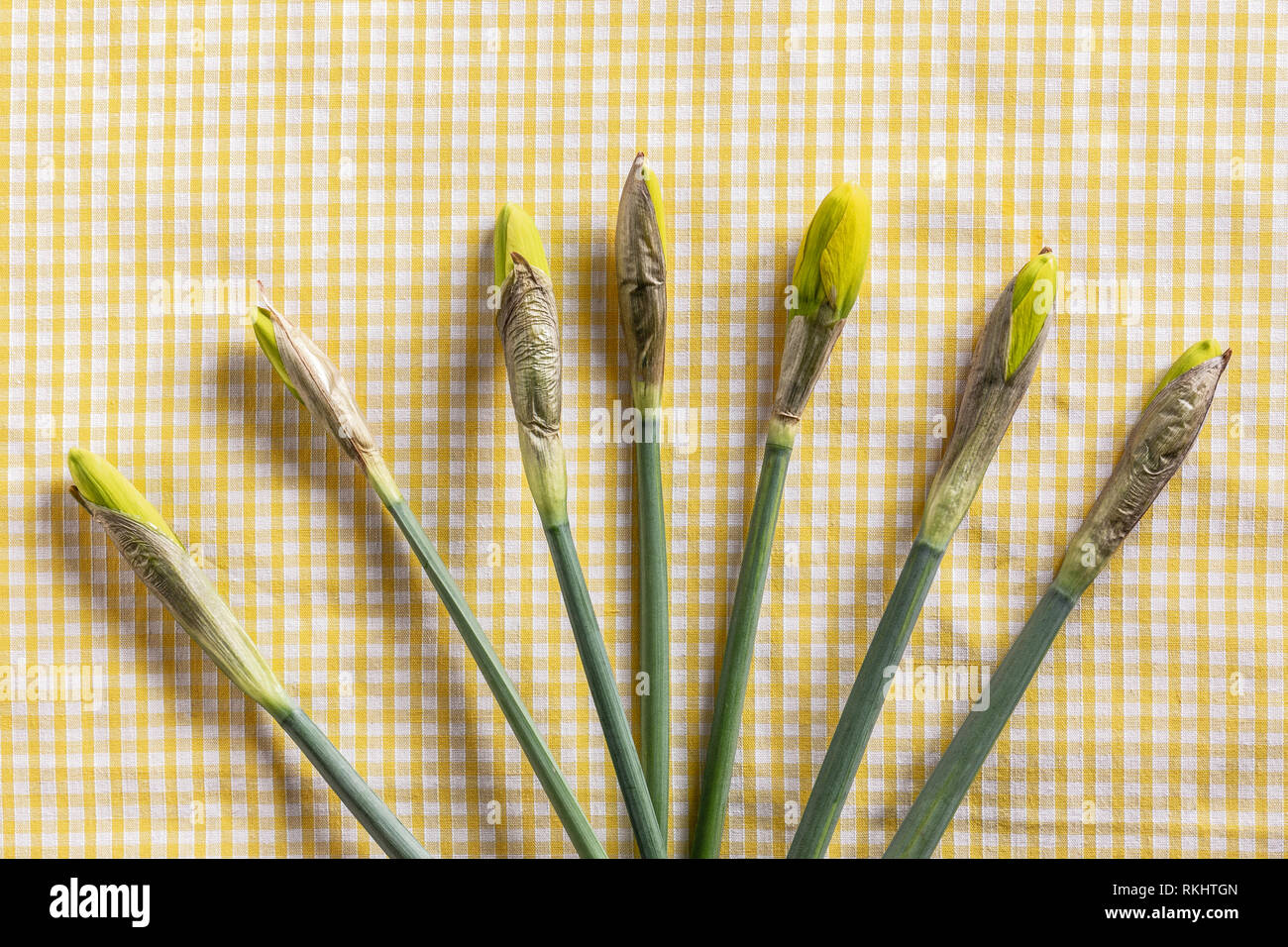 Gingham flower hi-res stock photography and images - Alamy