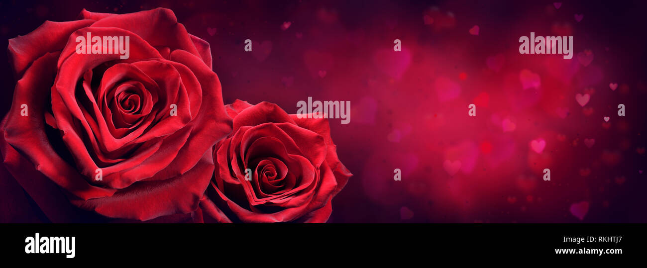Couple Of Red Roses In Heart Shape With Red Passion Background Stock ...