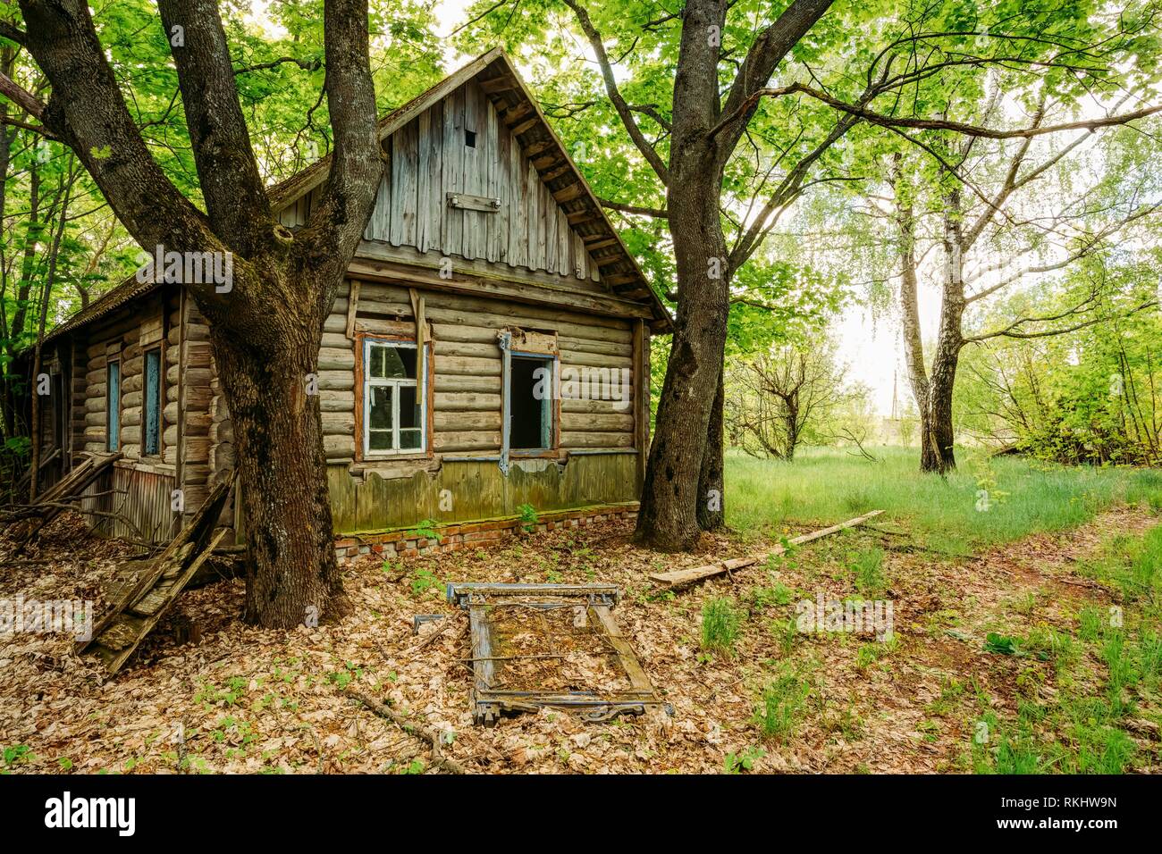 The Deserted Wooden Country Blockhouse Among Green Trees, Abandoned ...