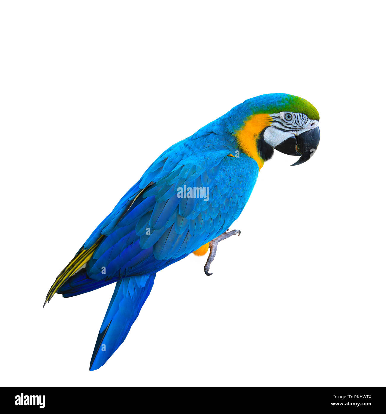 Yellow grey pattern Cut Out Stock Images & Pictures - Alamy