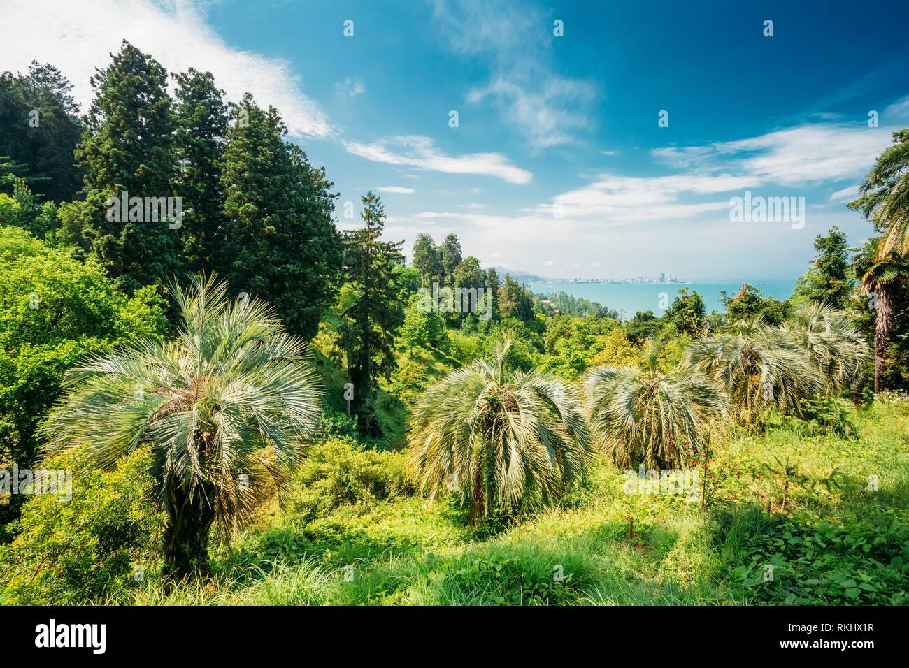 Batumi nature hi-res stock photography and images - Alamy