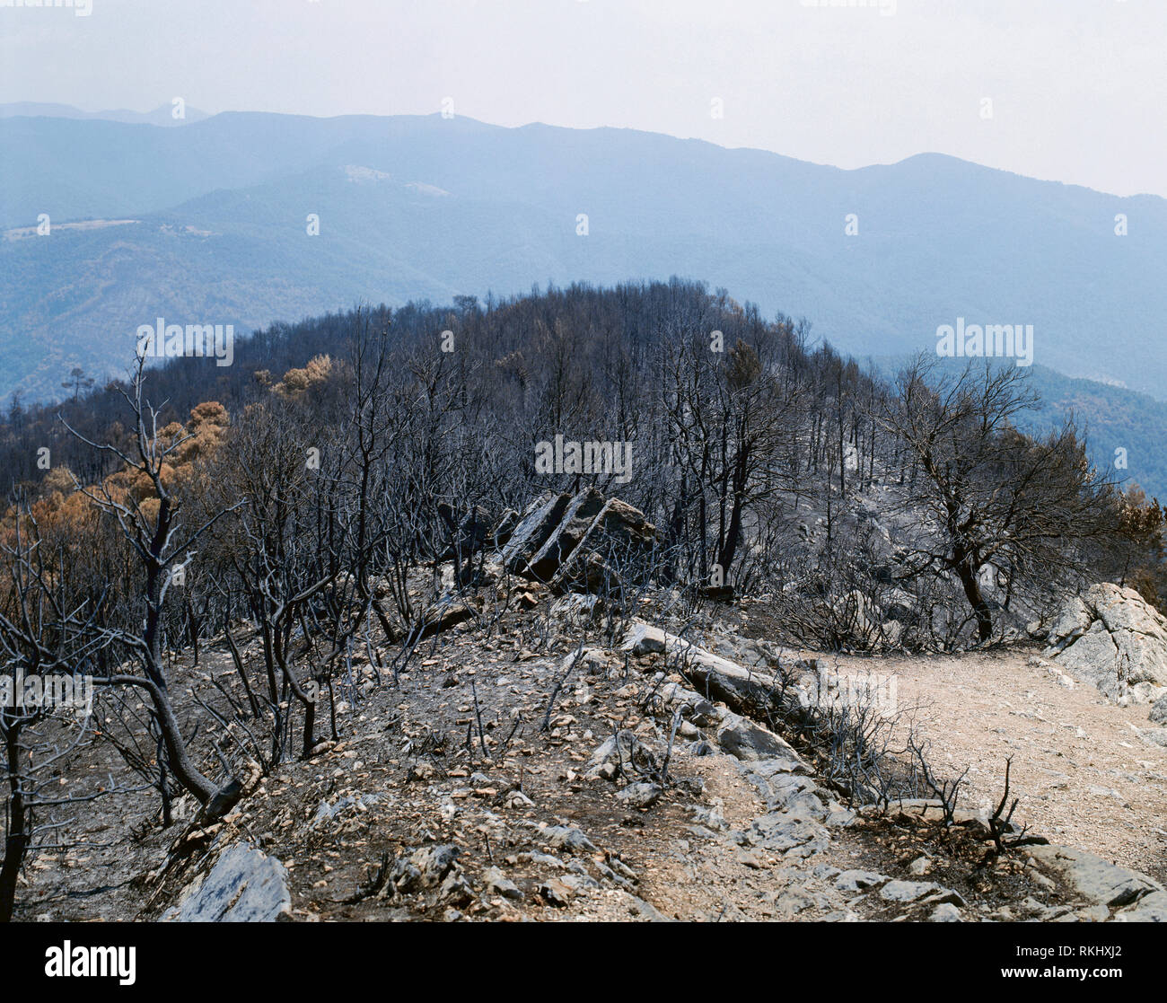 Valles occidental region hi-res stock photography and images - Alamy