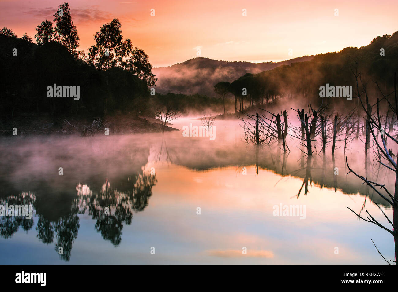 Beautiful mysterious river with trees in mist Stock Photo - Alamy