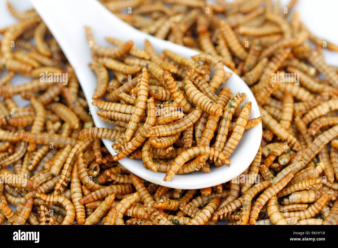 Edible nourishment hi-res stock photography and images - Alamy