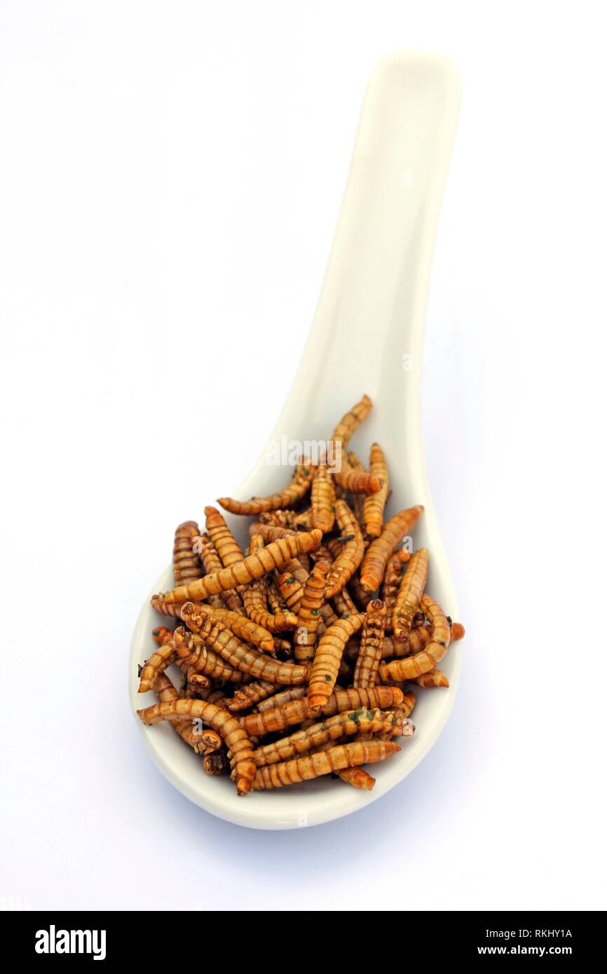 Worm path hi-res stock photography and images - Alamy