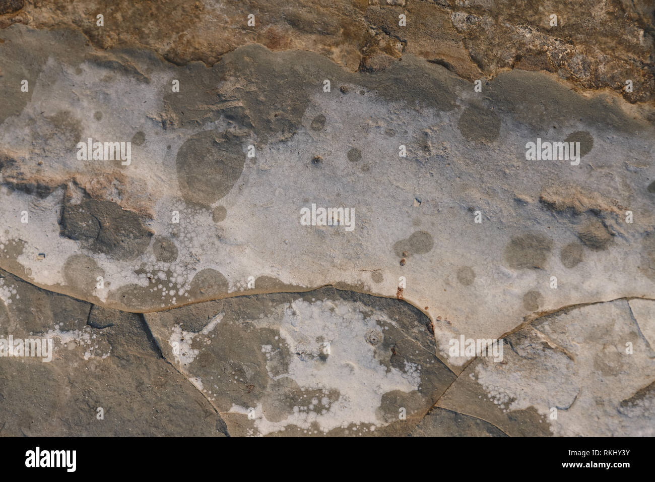 Cliff rock texture close up view Stock Photo - Alamy