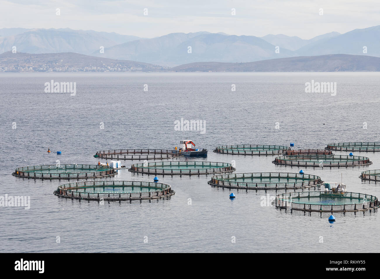 Floating fish farm in Greece Stock Photo - Alamy