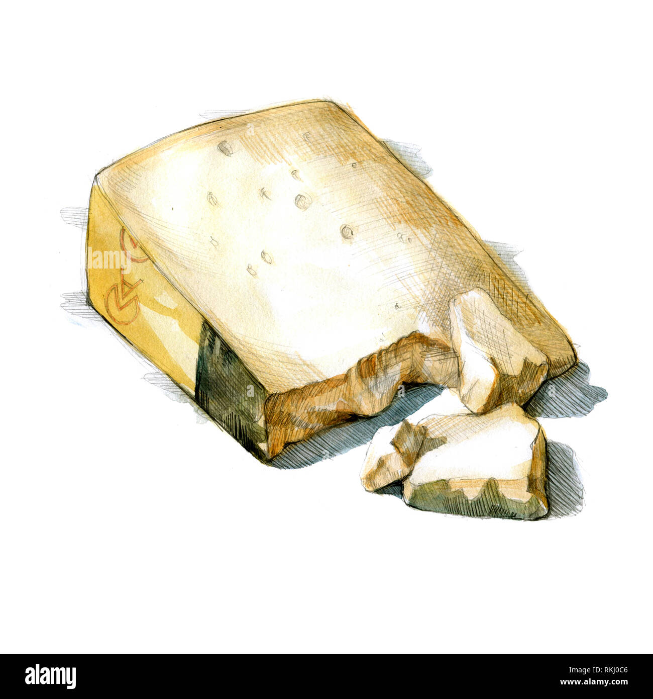 Pecorino cheese watercolor illustration on white background Stock Photo ...