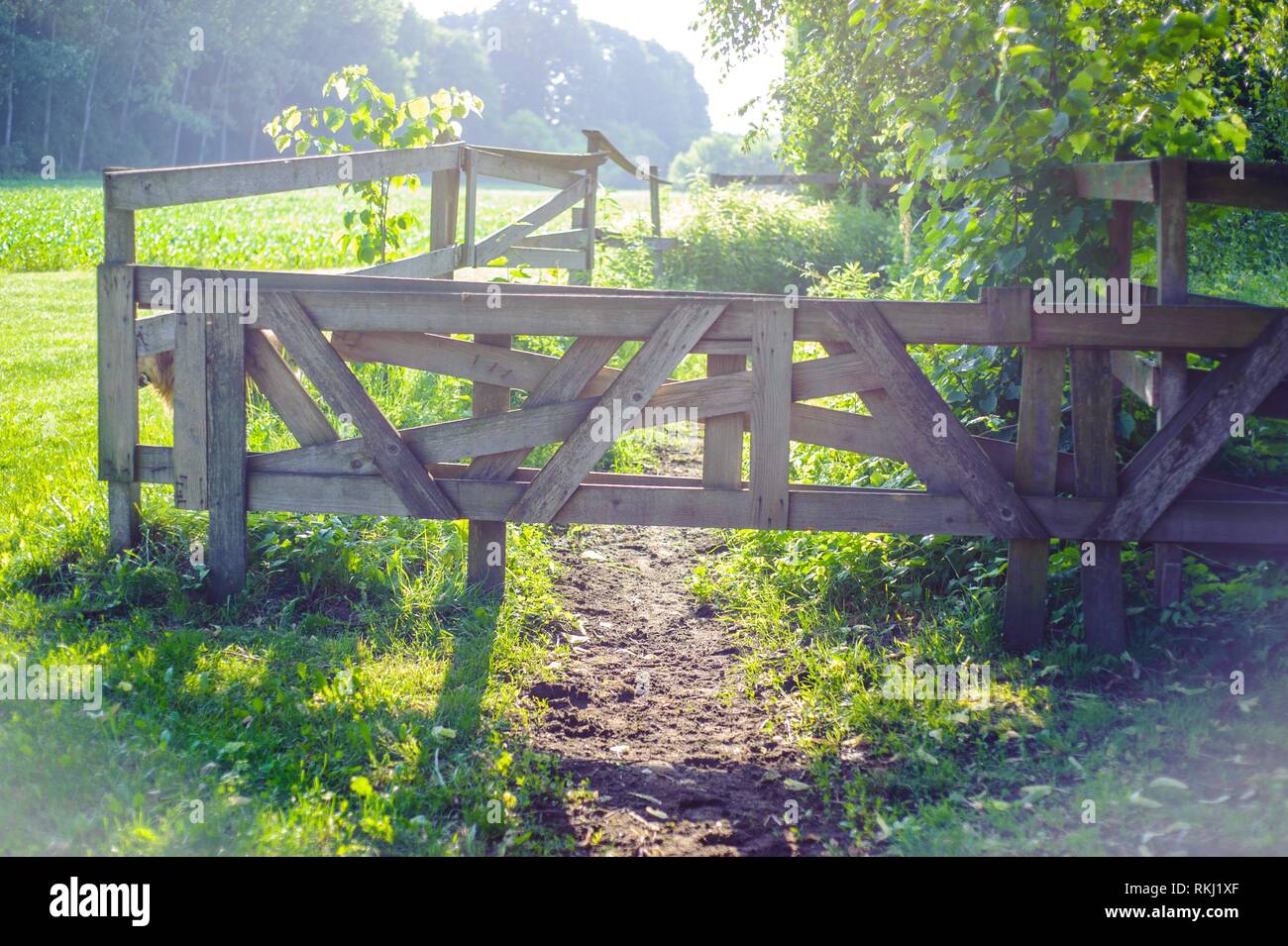Country scene with gate and tree hi-res stock photography and images ...