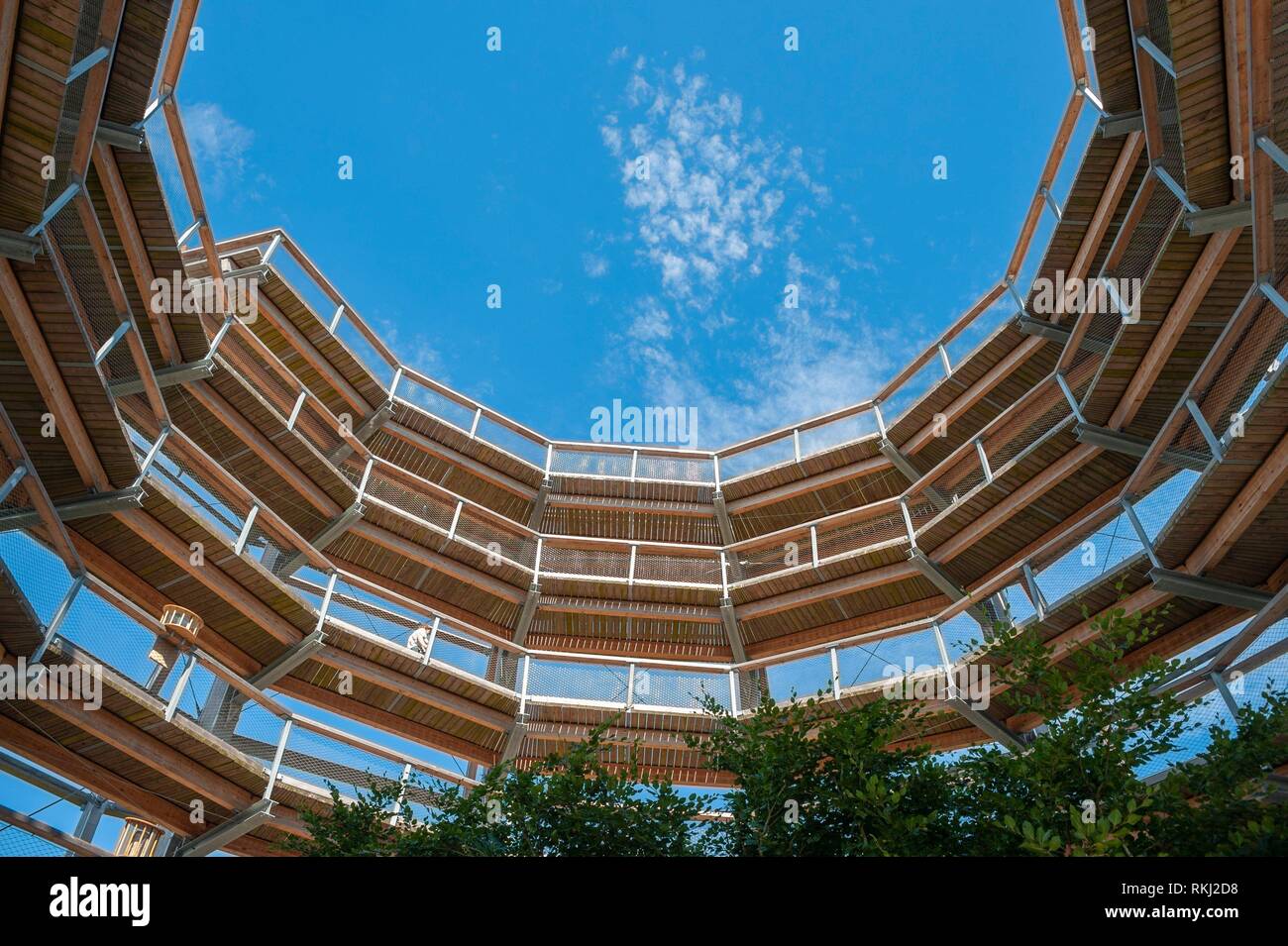 Treetop walk and germany hi-res stock photography and images - Alamy