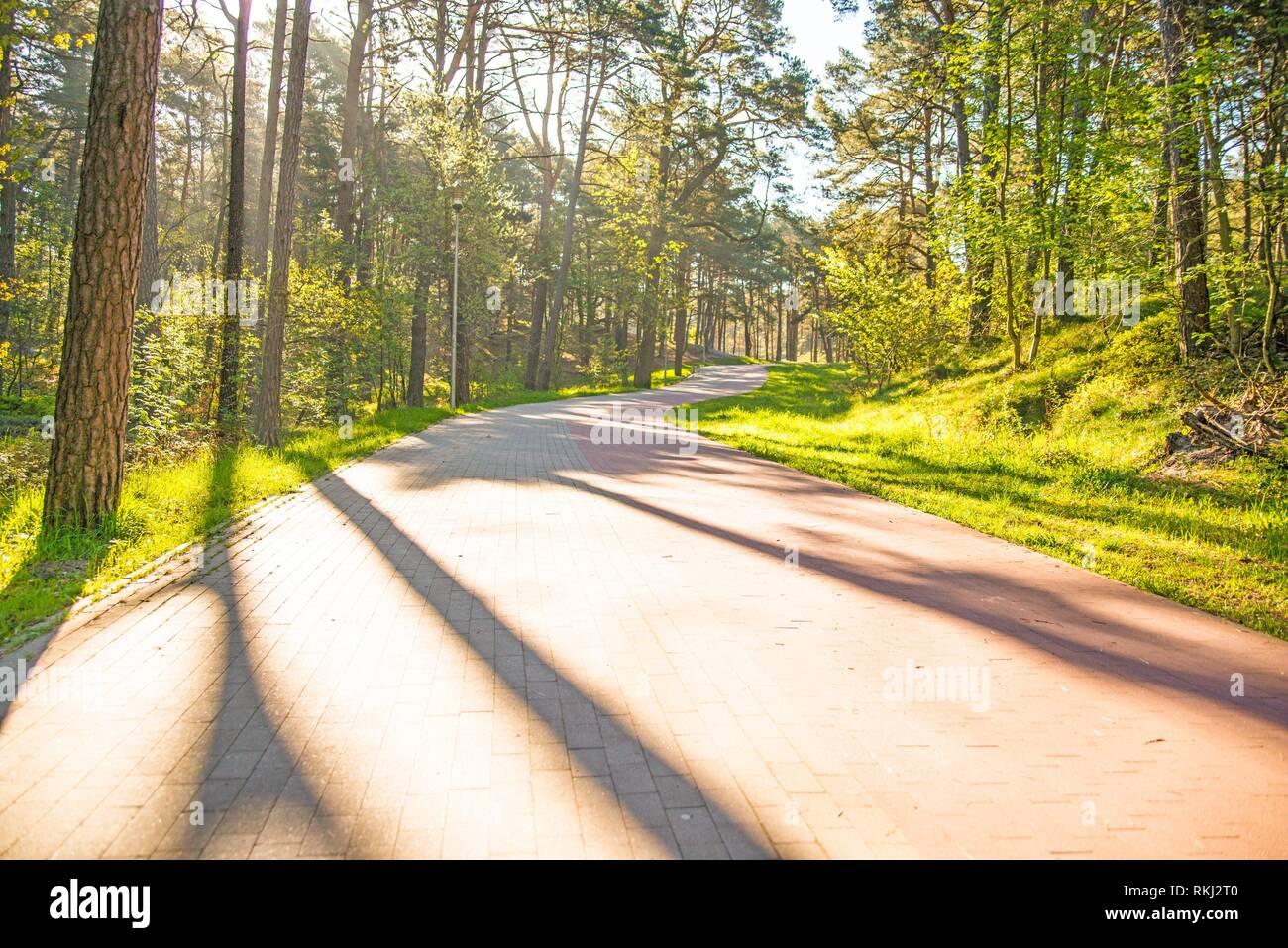 Spring in shadow hi-res stock photography and images - Alamy