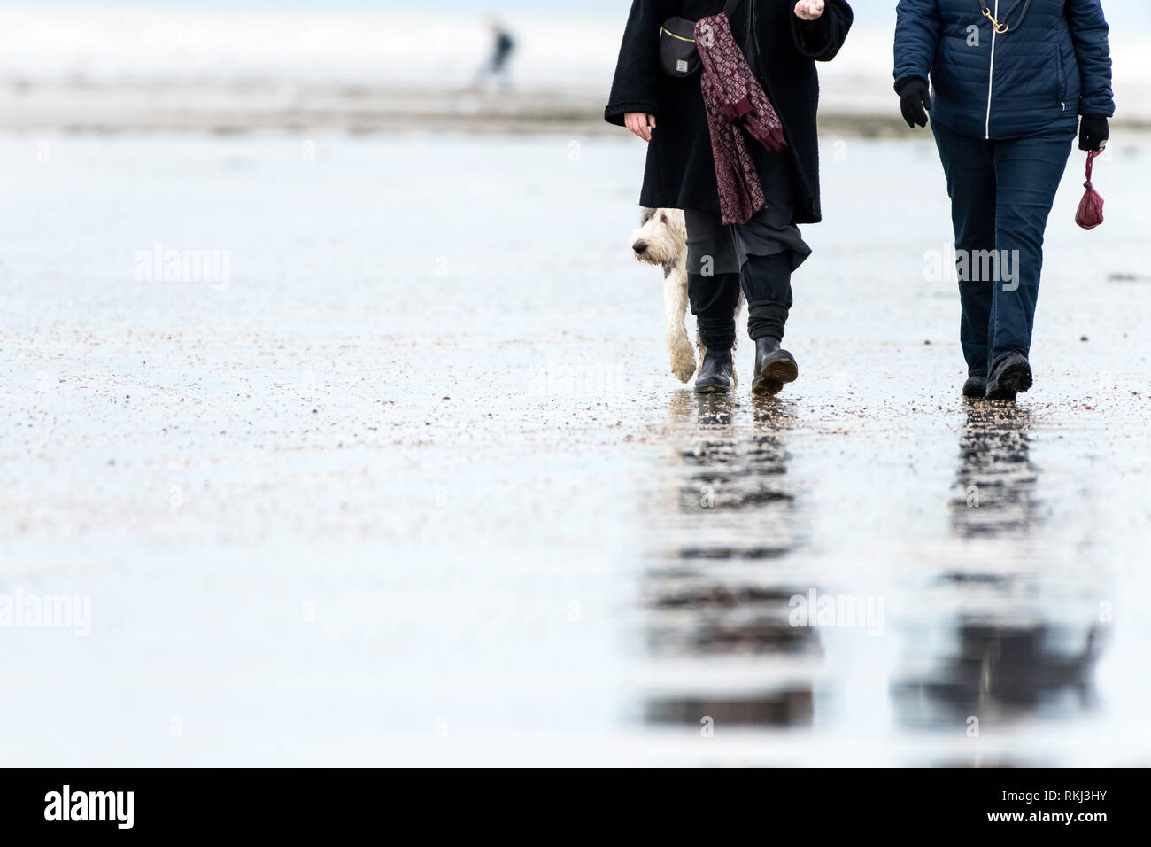 Adults walk on sandy at the beach Stock Photo - Alamy