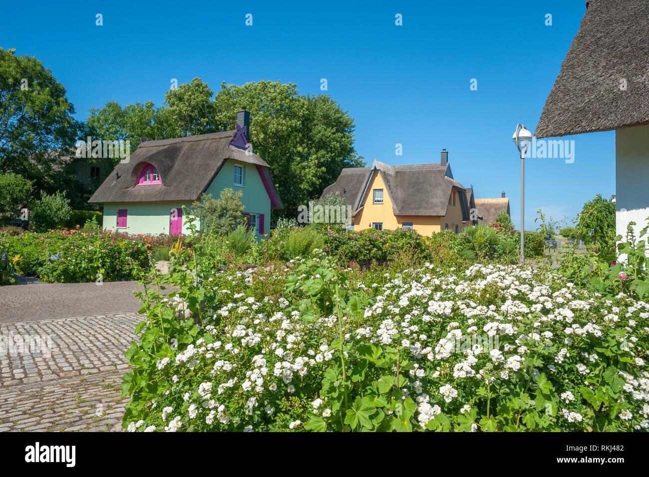 Settlement with thatched apartment buildings at Cape Arkona, Putgarten ...