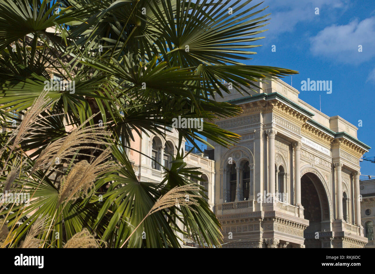 palm trees and Galleria Vittorio Emanuele, Milan, Italy Stock Photo - Alamy