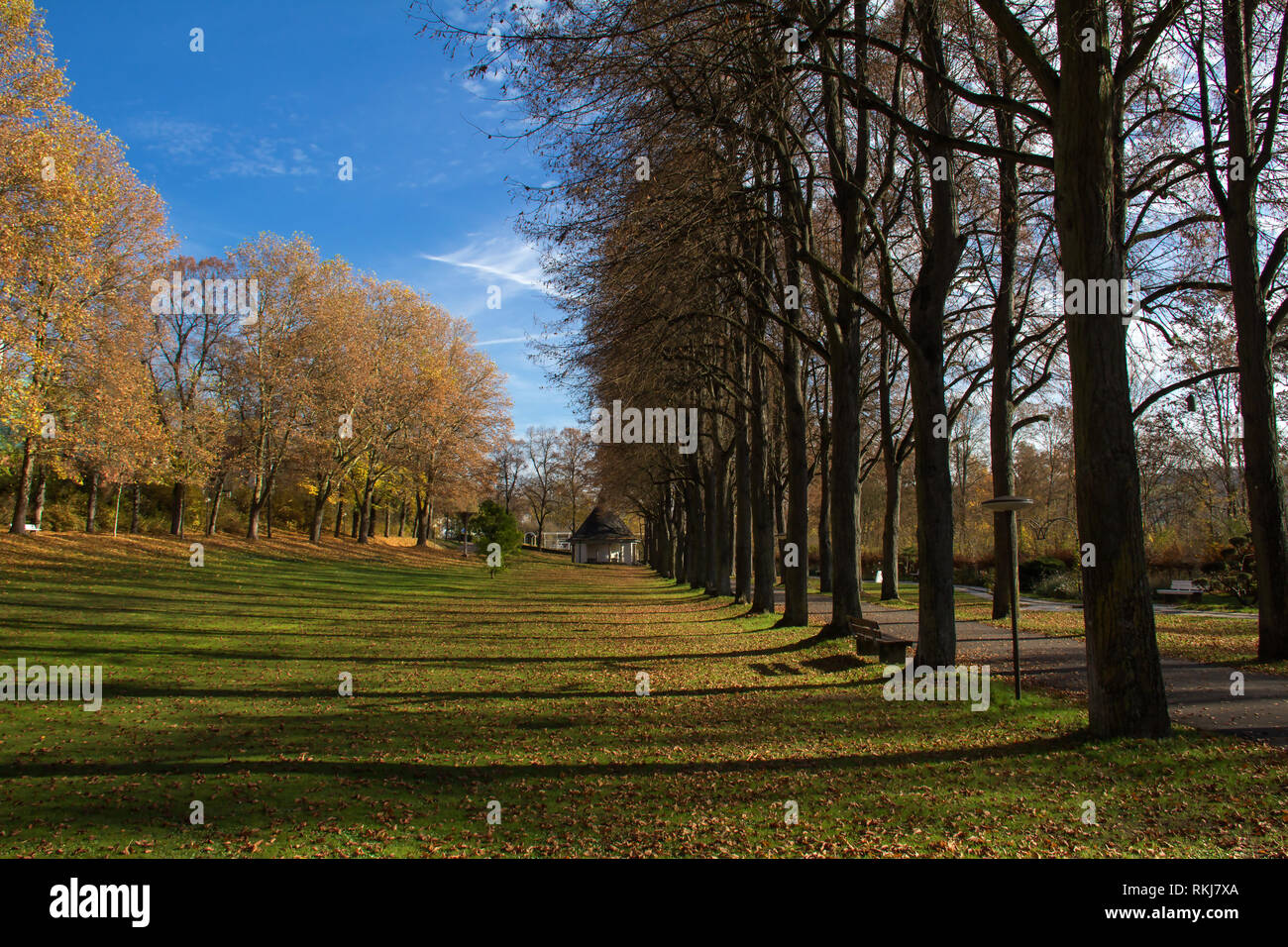 City park green trees footpaths hi-res stock photography and images - Alamy