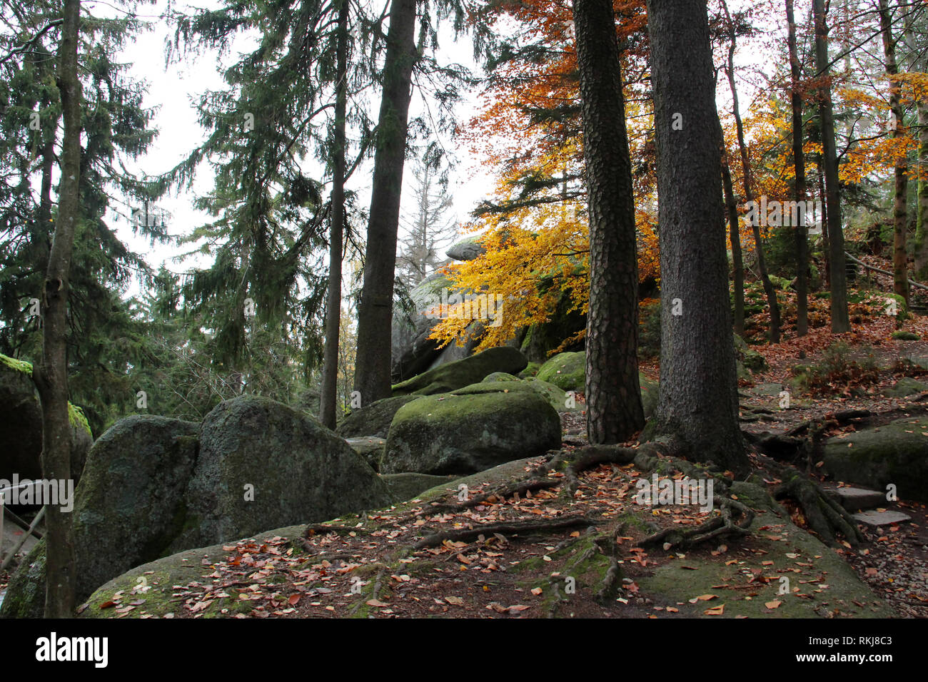 Rock labyrinth Luisenburg (Germany Stock Photo - Alamy